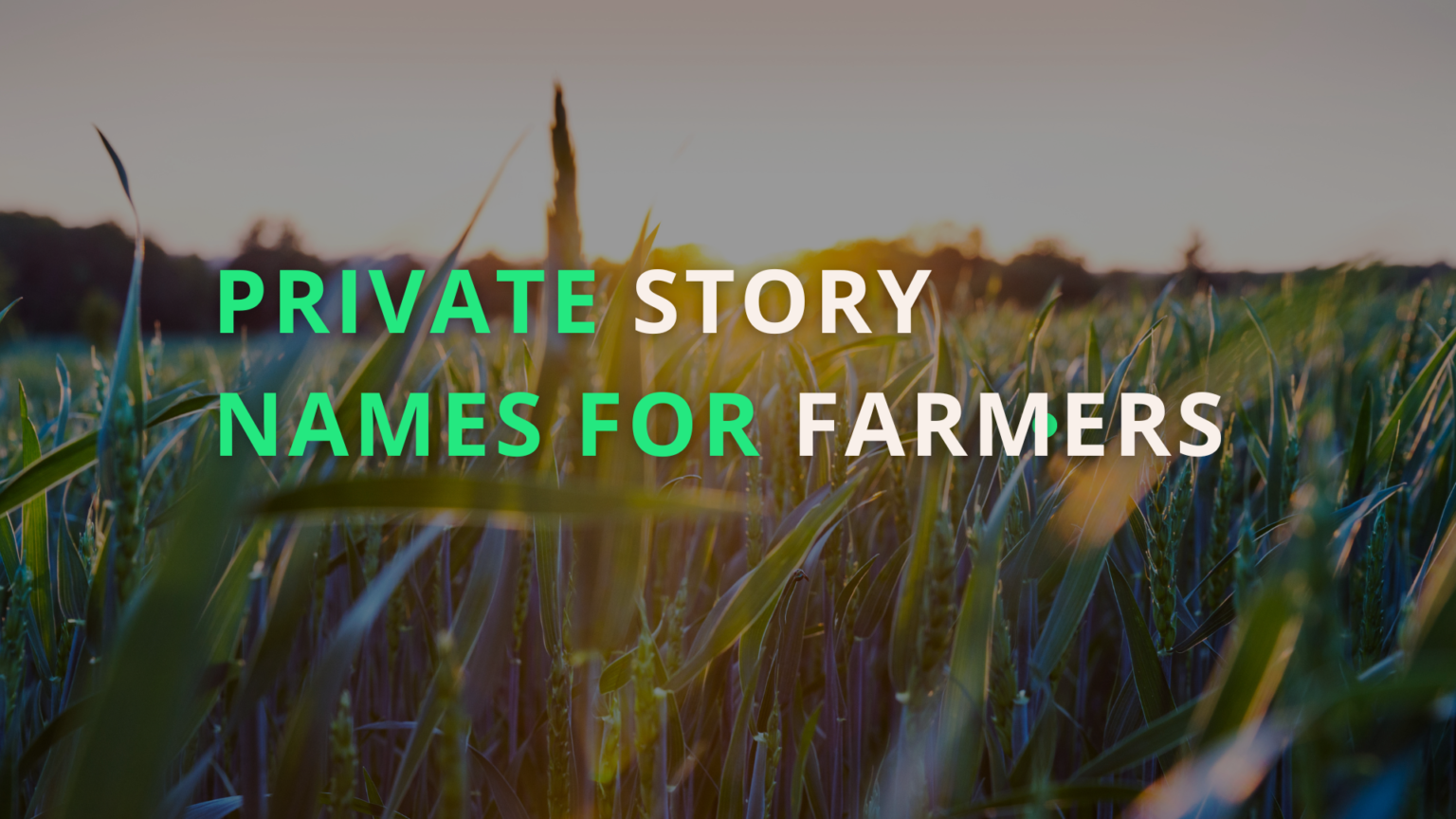 150+ Creative Private Story Names For Farmers In 2026